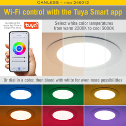 Smart Recessed RGB+WW LED Downlights – Armacost Lighting