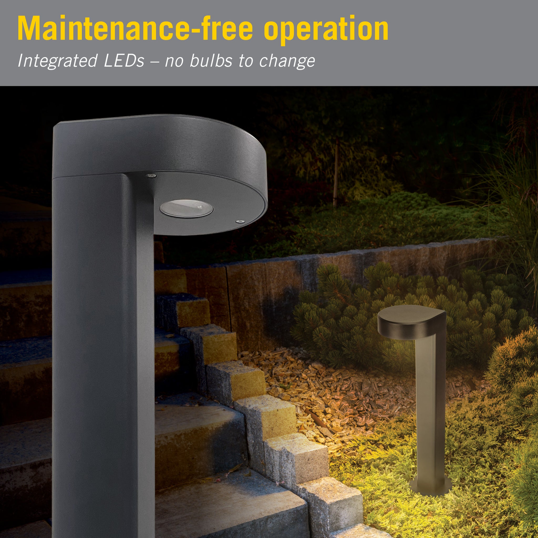 Teardrop LED Low Voltage Pathway Landscape Lighting – Armacost Lighting