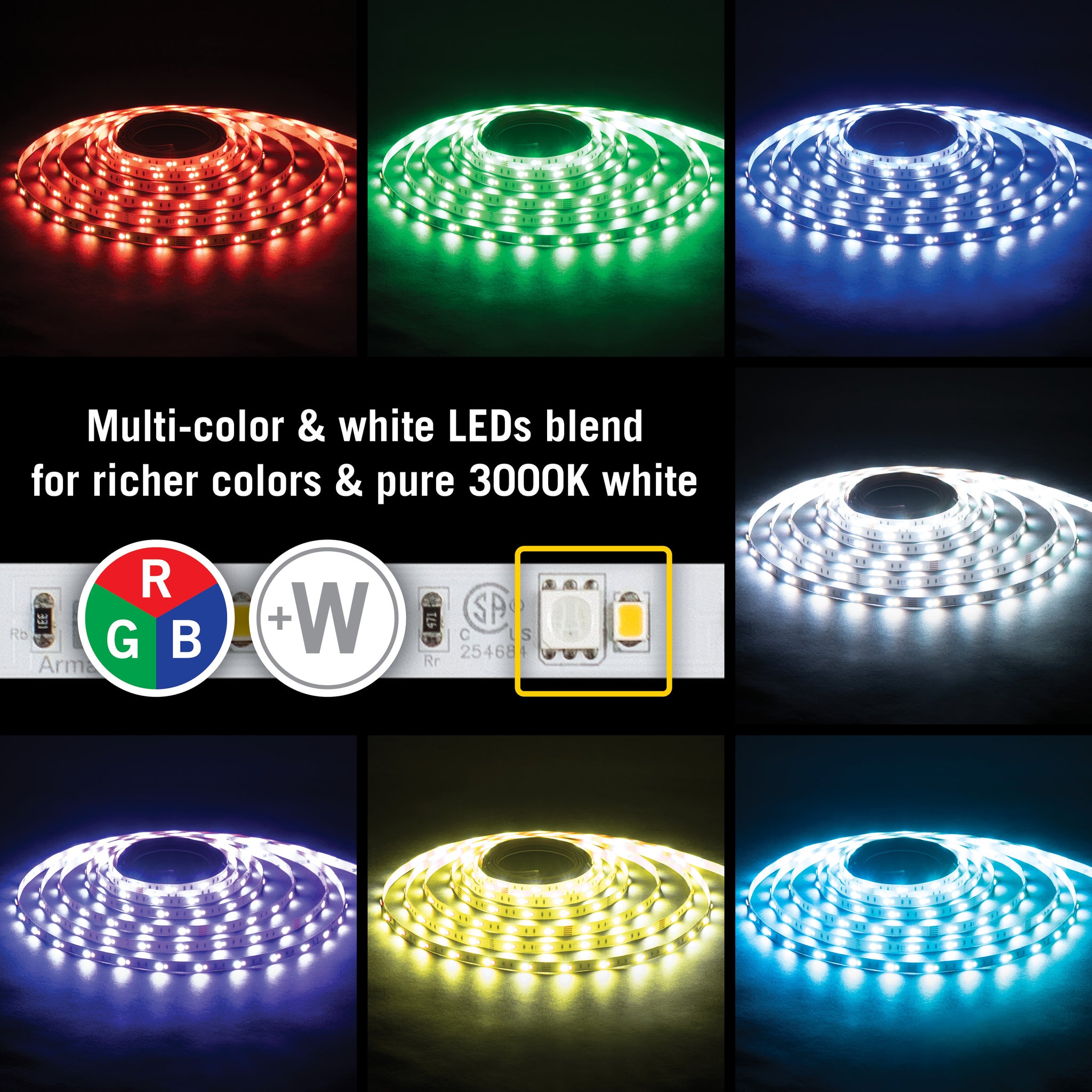 24V RGB+W LED Strip Light 30 + 30 LED/m – Armacost Lighting